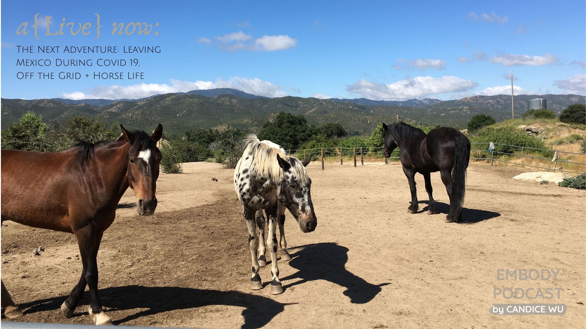 A{Live} Now: Leaving Mexico and Travel Field Trip — EP125 - Embody ...