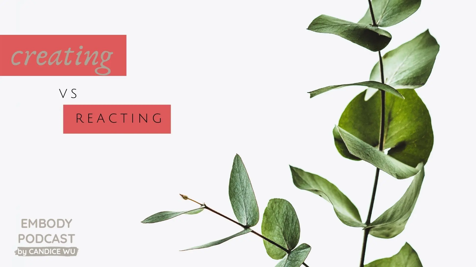 Creating vs Reacting — EP178 - Embody Podcast - Candice Wu